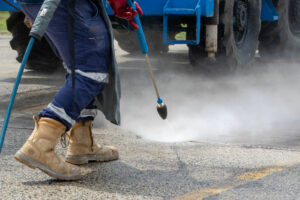 Licence to Perform Dogging | Host Safety Training